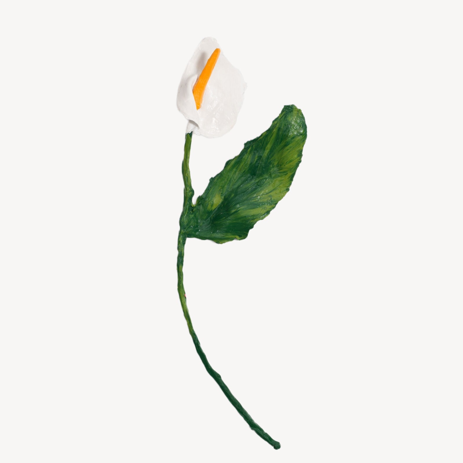 Varkoor – Untitled