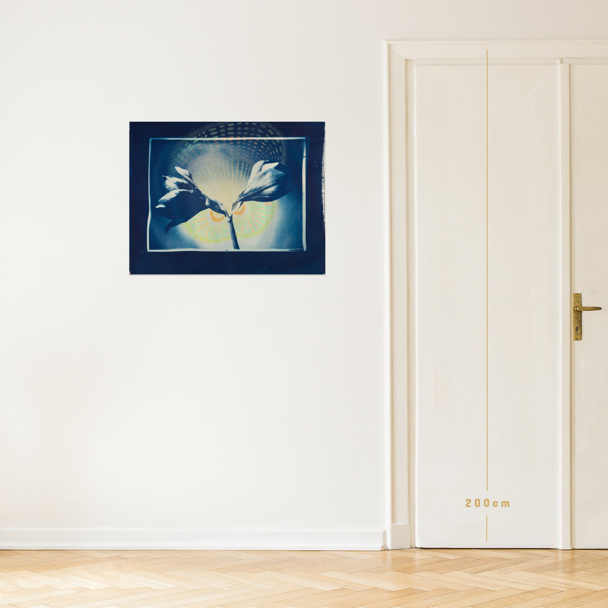 Plant Sentience II – Untitled